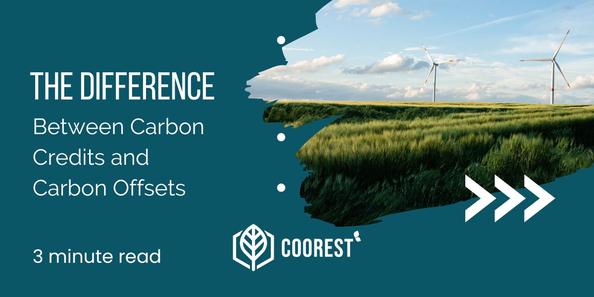 The Difference Between Carbon Credits and Carbon Offsets