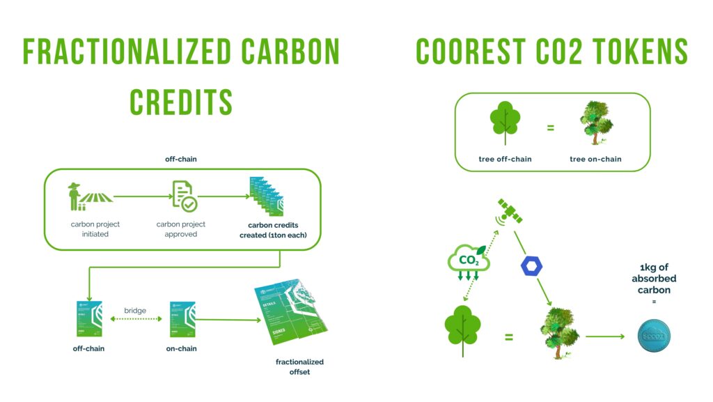 Small Steps, Big Impact: How Micro-Offsets Can Help Us Reach Net Zero ...