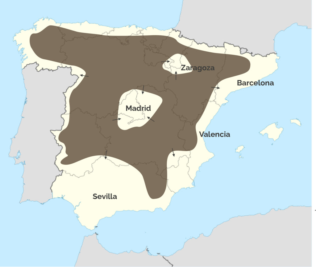 Planting Hope in 'Empty Spain': Coorest's Commitment to a Sustainable ...